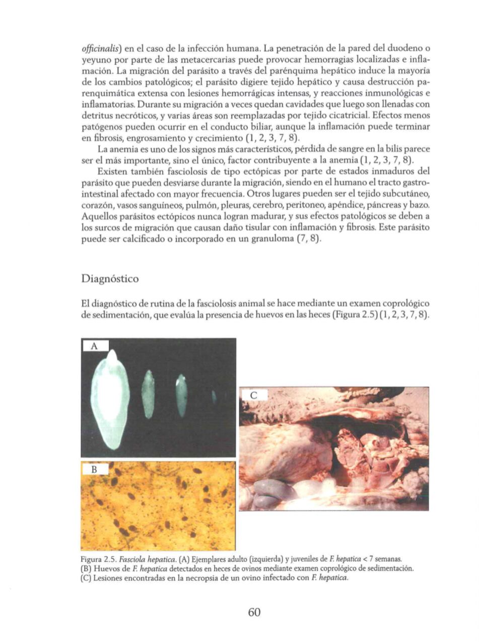 Enfermedades animales producidas por agentes biológicos